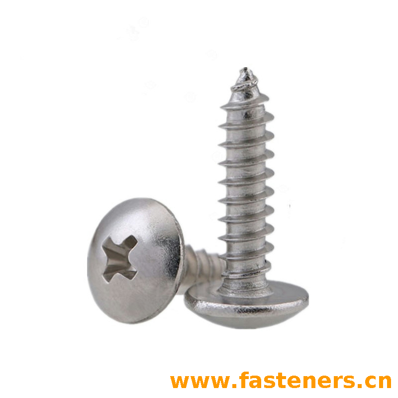 ASME B 18.6.4 Type II Cross Recessed Truss Head Tapping Screws - Buy ...
